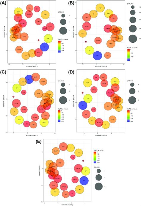 Go Enrichment Analyses Of Biological Process Bp Terms Using Revigo
