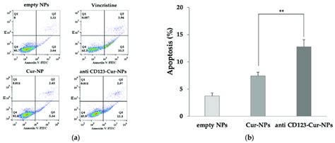 Apoptosis Assay Using Flow Cytometry After Staining With Double Annexin