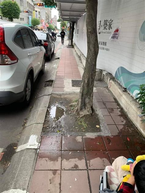 又見「行人地獄」！新北永和居民怒批路樹、變電箱擋人行道 生活 自由時報電子報
