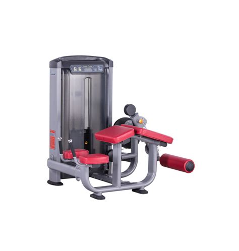 APIL7619 Horizontal Hamstring Machine Reeplex