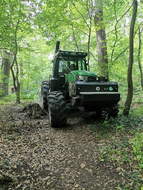 Berghölzchen Bürgerinitiative Baumschutz Hildesheim
