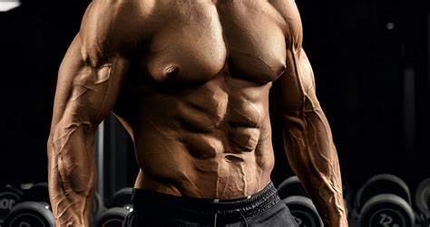 What Are The 3 Types Of Muscle Examples And Muscle Anatomy 101 For Bodybuilders