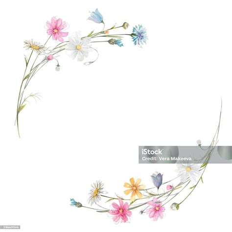 손으로 그린 수채화 야생화 둥근 프레임 그림입니다 새싹과 잎이 있는 귀여운 꽃 템플릿 결혼식에 대한 스톡 벡터 아트 및 기타 이미지 결혼식 꽃무늬 수채화 Istock