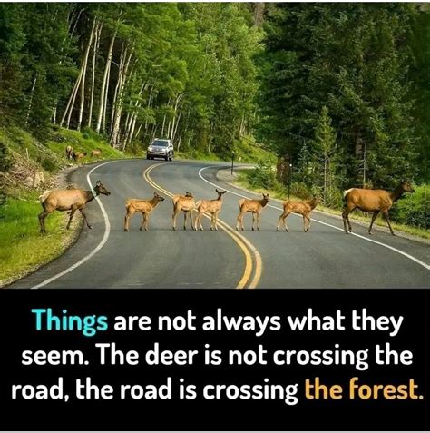 Pratham Shalya Posted On Linkedin