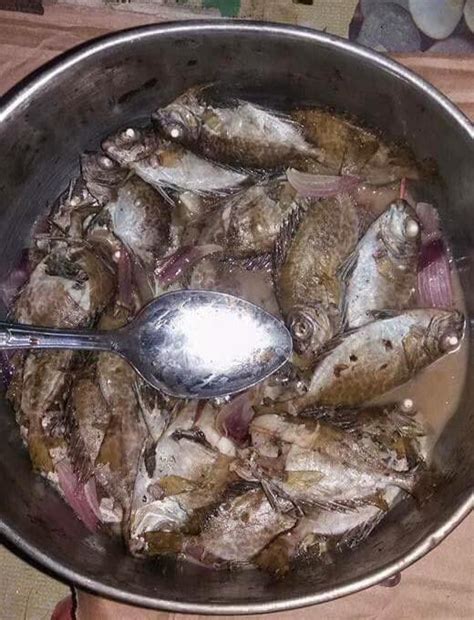 Ang Pinaka Masarap Na Isda Magsasaka Ako Proud Ako