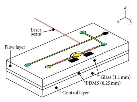 Cross Section View And Dimensions Of Pcr Loc Microchip Due To The