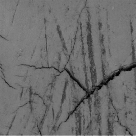 Morphology Of The Root Surface Debrided With Curette In Relation To The Download Scientific