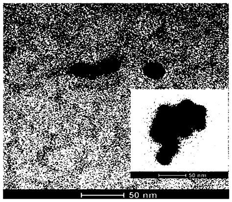 Ctc Detection Spr Sensor Having High Sensitivity And Dual Selectivity And Preparation Method