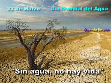 De Marzo D A Mundial Del Agua Agenda Escolar
