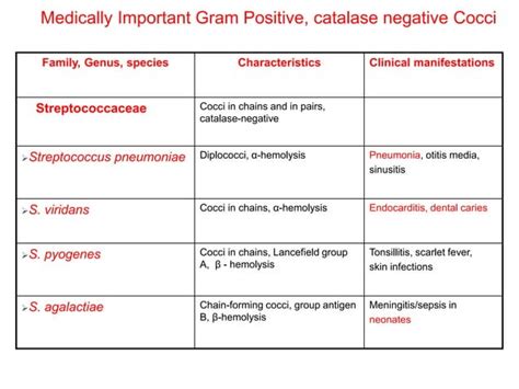 Streptococcus Ldentification Ppt