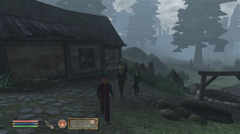 Random Npc Spawns R Oblivionmods