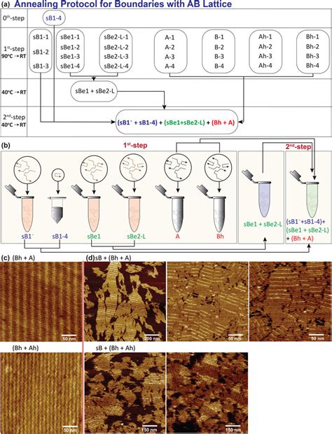 Annealing Procedure And Experimental Results Of Ab Lattice On A Single