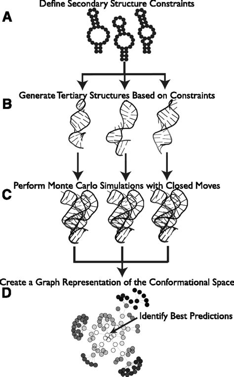 Improved Prediction Of Rna Tertiary Structure With Insights Into Native State Dynamics