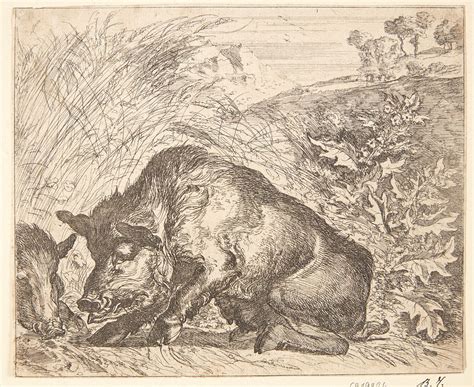 Two Wild Boars Abraham Hondius Free Photo Illustration Rawpixel