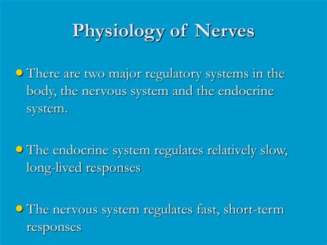 Ppt Nerve Physiology Powerpoint Presentation Free Download Id9397945