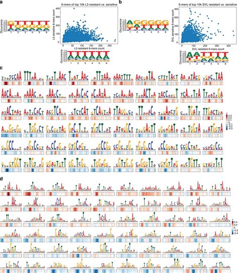 6 Mer Motif Analyses And C3po Learned Sequence Features From Download Scientific Diagram