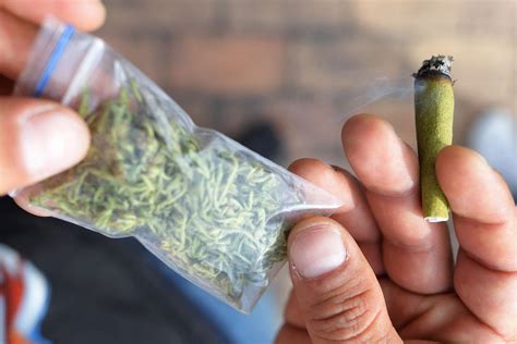 Potent Cannabis Linked To Surging Schizophrenia Cases