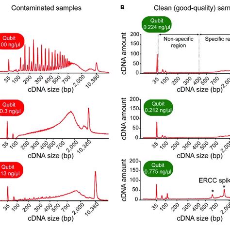 pipeline for single neuron patch seq experiments step 1 a single