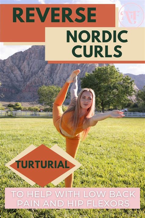 Reverse Nordic Curls