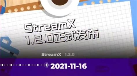 Streamx Flink