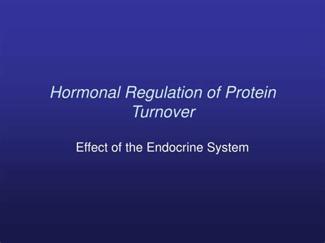 Ppt Hormonal Regulation Of Protein Turnover Powerpoint Presentation