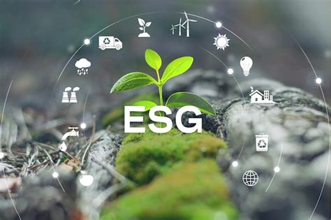 Concept Dentreprise Dinvestissement Dans La Gouvernance Sociale