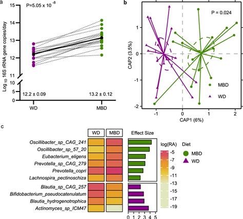 Diet Modulated The Gut Microbiome A Fecal Bacterial 16s Rrna Gene Copy Download Scientific