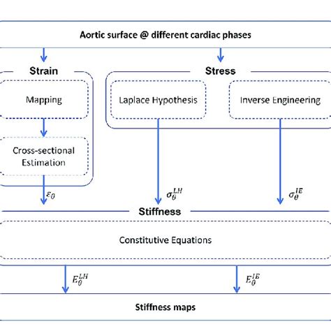 Summary Of The Workflow For The Non Invasive Stiffness Estimation ε θ Download Scientific