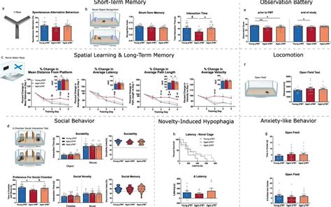 Additional Behavioral Readouts A Short Term Memory Assessed By Download Scientific Diagram