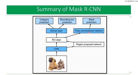 Instance Segmentation