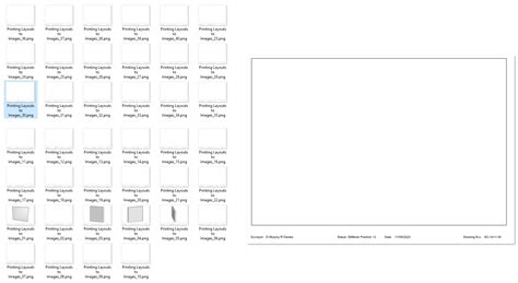 BUG Printing Layout Broken Rhino 8 WIP Mac McNeel Forum
