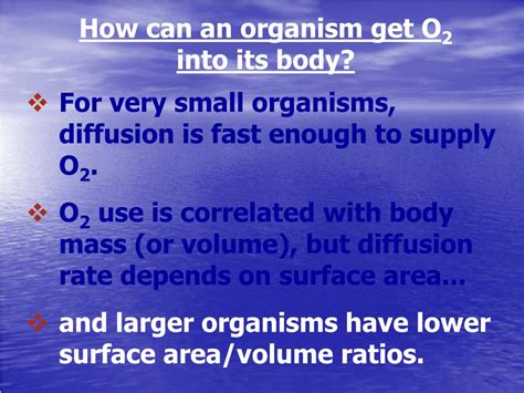 PPT Gas Exchange Circulation PowerPoint Presentation Free Download ID
