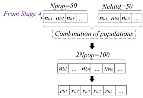 Elitist Selection Stage 7 Download Scientific Diagram