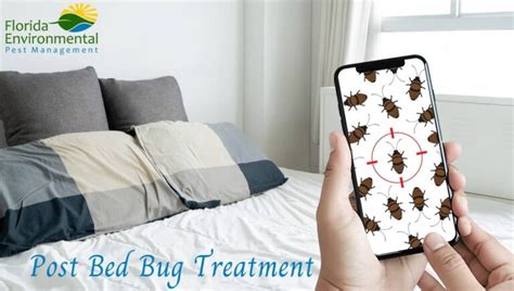 How Long After Bed Bug Fumigation Is It Safe To Return Home The