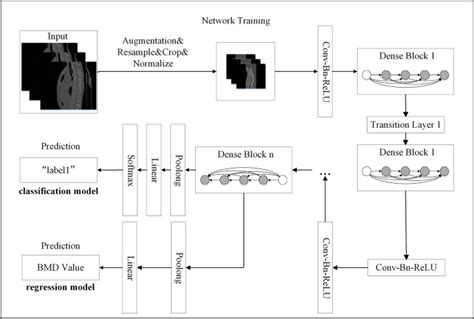 基于ct图像的骨密度分类和预测的深度学习模型能否用于机会性骨质疏松症筛查的研究 Osteoporosis International X Mol