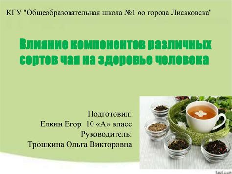 Влияние компонентов различных сортов чая на здоровье человека презентация онлайн