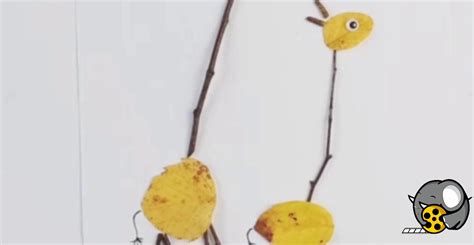 طراحی های جالب ودیدنی بابرگ درختان فیلو