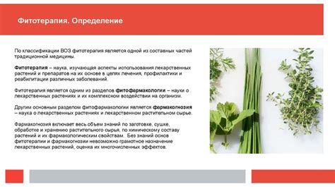 Фитотерапия - презентация онлайн