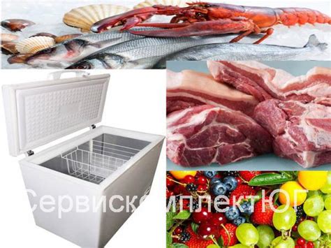 Морозильный ларь WILLMARK CF-200X купить по цене 13800 ₽ в Краснодаре ...