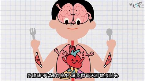 營養5餐 好重要的食物篇 Youtube