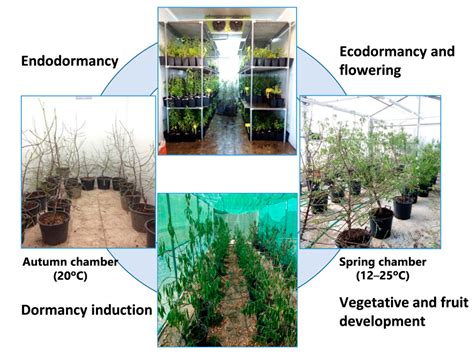 Agronomy For Sustainable Development