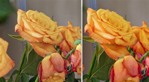 Change In Colour Saturation When Uploading A Photo To Macrumours