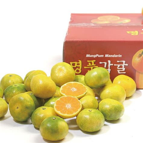제주 노지감귤 9kg 로얄과s M 홈플러스 택배배송