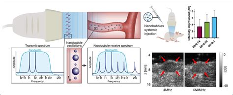 Nonlinear Frequency Mixing Ultrasound Imaging Of Nanoscale Contrast