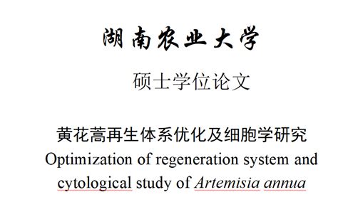wps文档如何取消单词下方的红色波浪线？ 哔哩哔哩