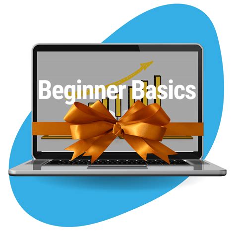 Beginner Basics Training