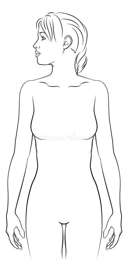Human Physiology Woman Body Anatomy Outline Front Stock Vector