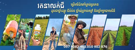 រូបមន្ត កសិកម្ម អុីស្រាអ៊ែល រូបមន្ត កសិកម្ម អុីស្រាអ៊ែល