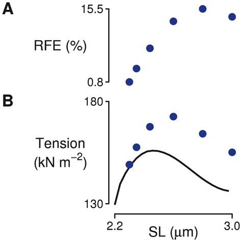Force Enhancement At Different Degrees Of Myofilament Overlap A Download Scientific Diagram