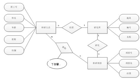 E R图的基础练习 知乎